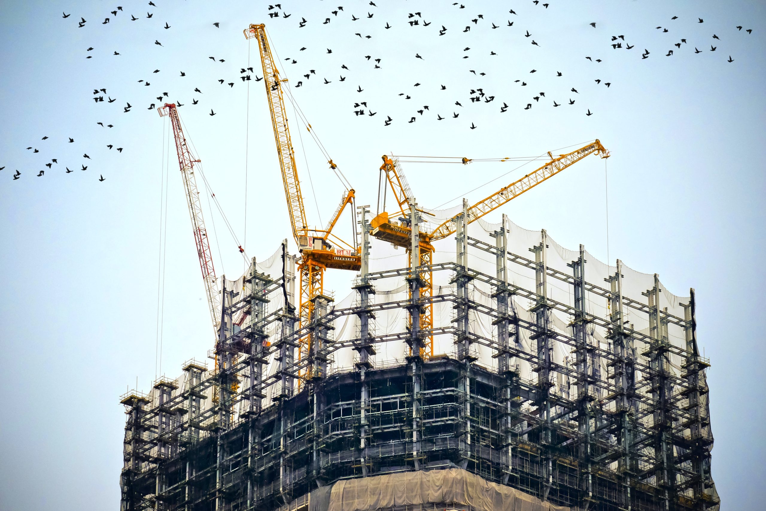 Agrandir son bâtiment ou construire un nouveau ? Comment choisir ? - api